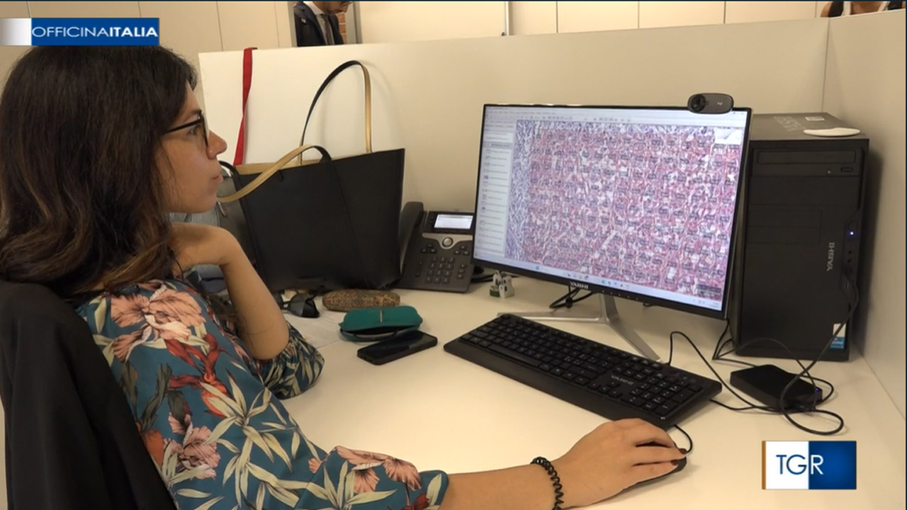 show-news | AlmavivA